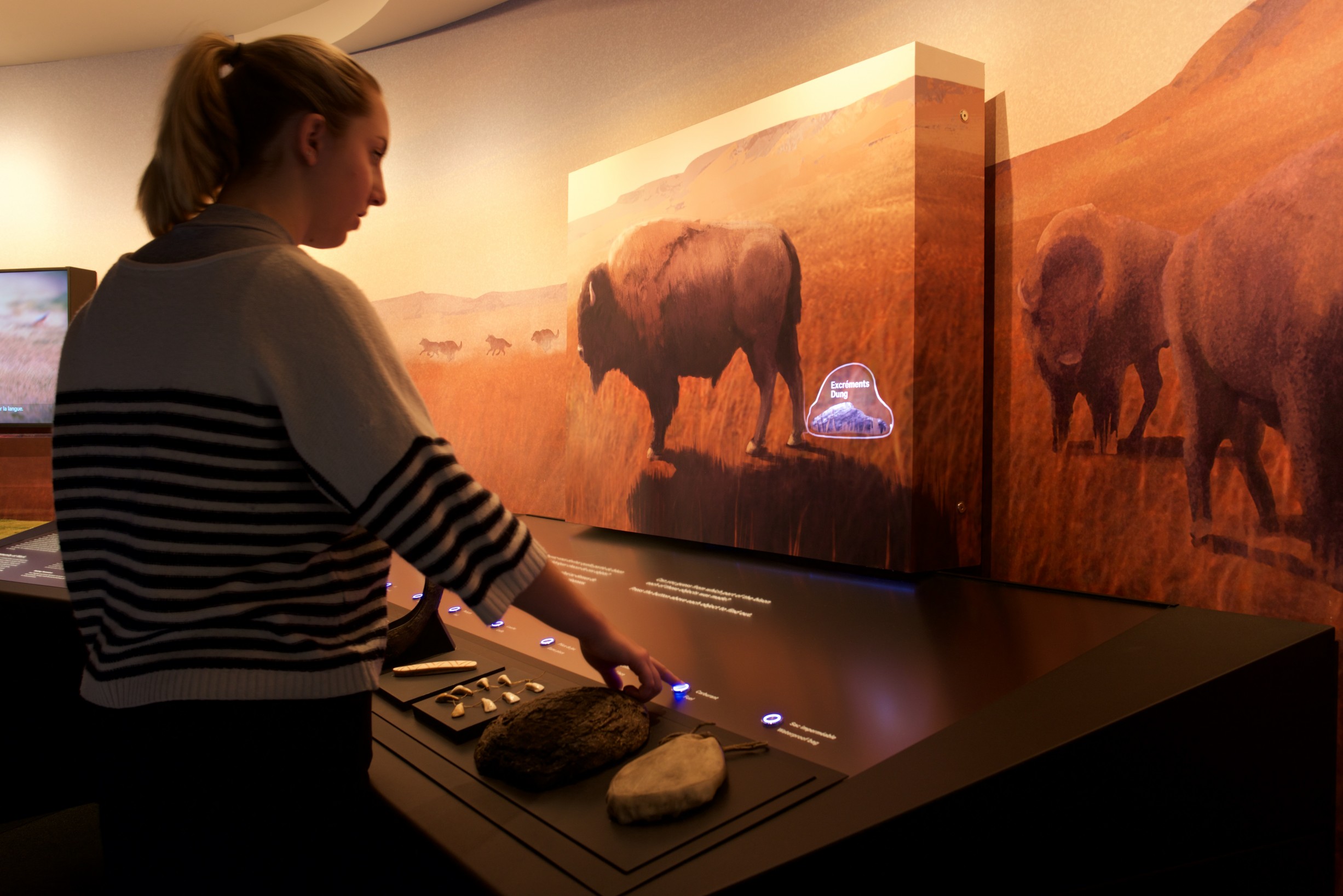 Canadian History Hall - GSM Project | design & production