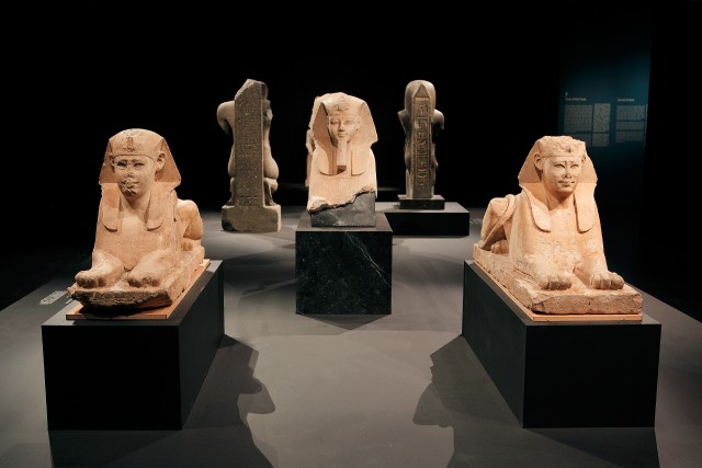 Quest for Immortality - GSM Project - design & production