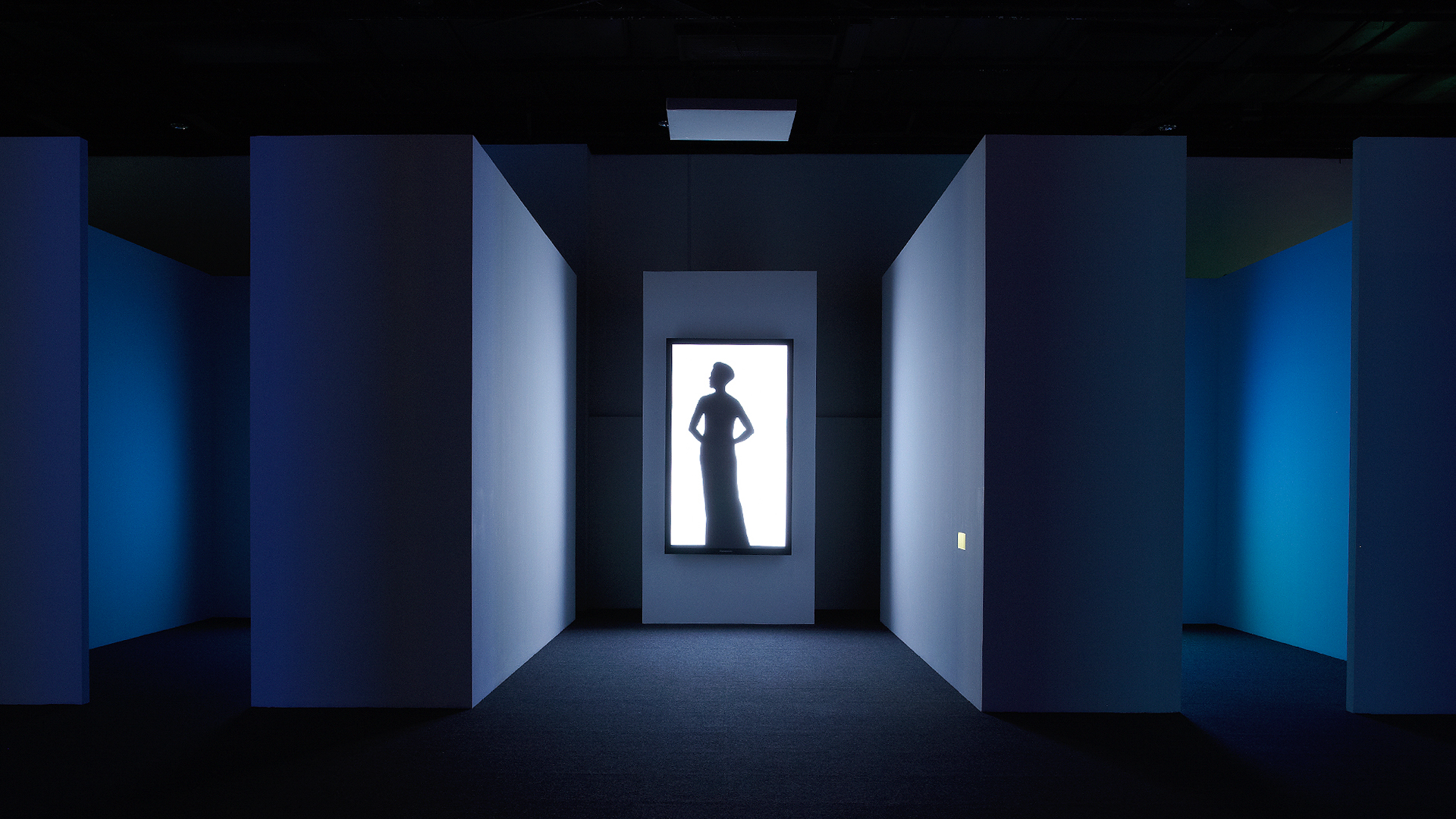 Voom Portraits - GSM Project - design & production