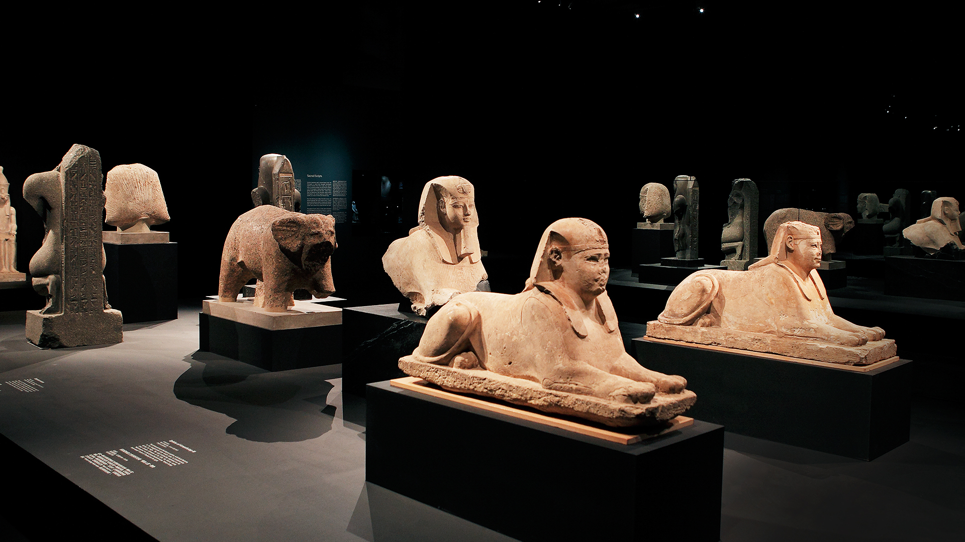 Quest for Immortality - GSM Project - design & production