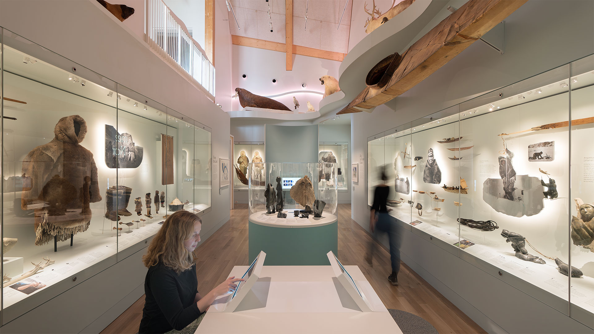 Peary–MacMillan Arctic Museum - GSM Project - design & production